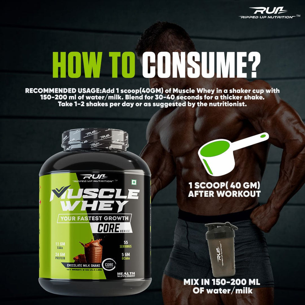 Muscle Whey-High-Quality Protein Formula for Muscle Growth